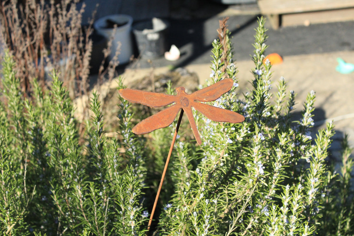 Libelle auf dünnem Stab – Gartendesign Oldach